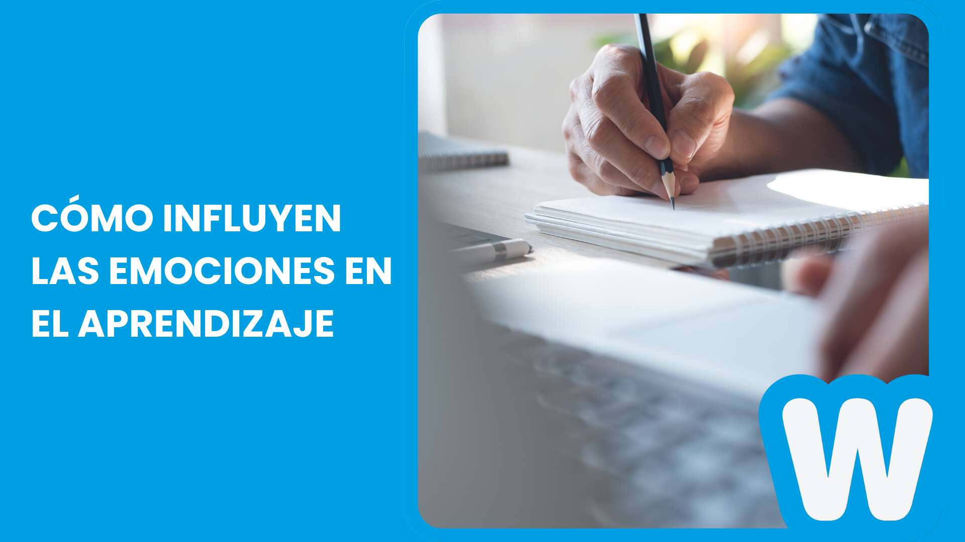 Cómo Influyen Las Emociones En El Aprendizaje El Blog De Wekab